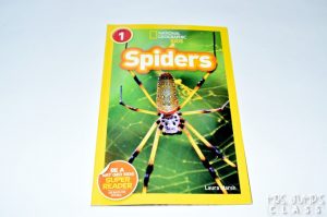 Spider informational text activities