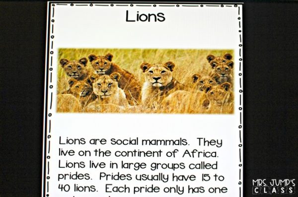 zoo animals ideas for kindergarten and first grade. Close reading, crafts