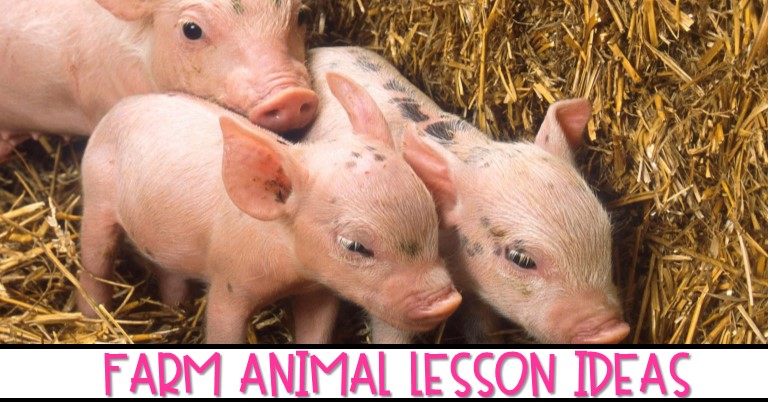Engaging Farm Animal Activities for Kindergarten and 1st Grade