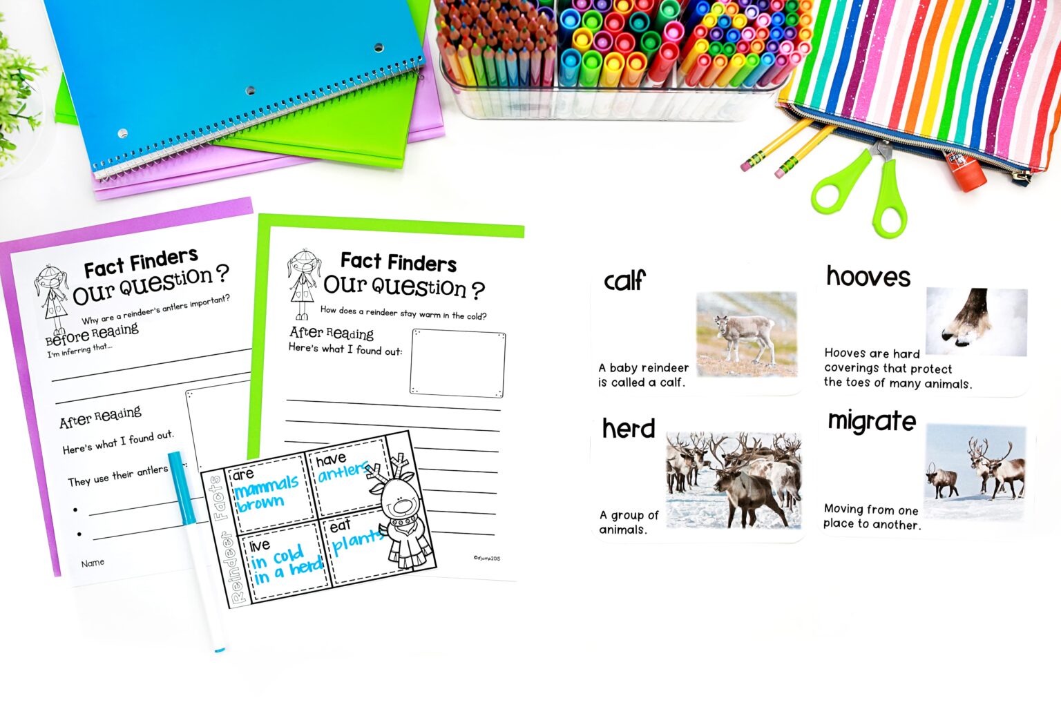 Reindeer Activities for Kindergarten