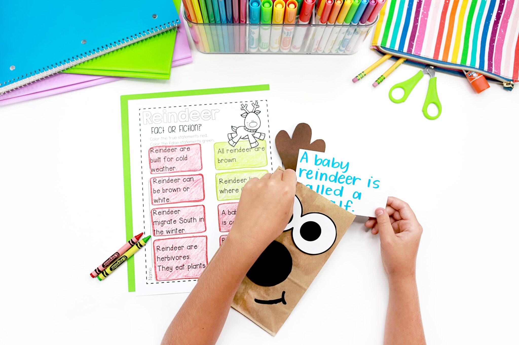 Reindeer Activities for Kindergarten