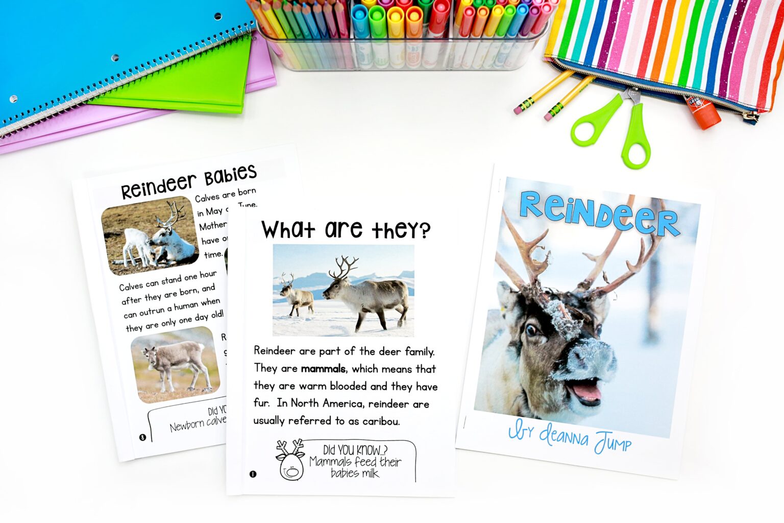 Reindeer Activities for Kindergarten