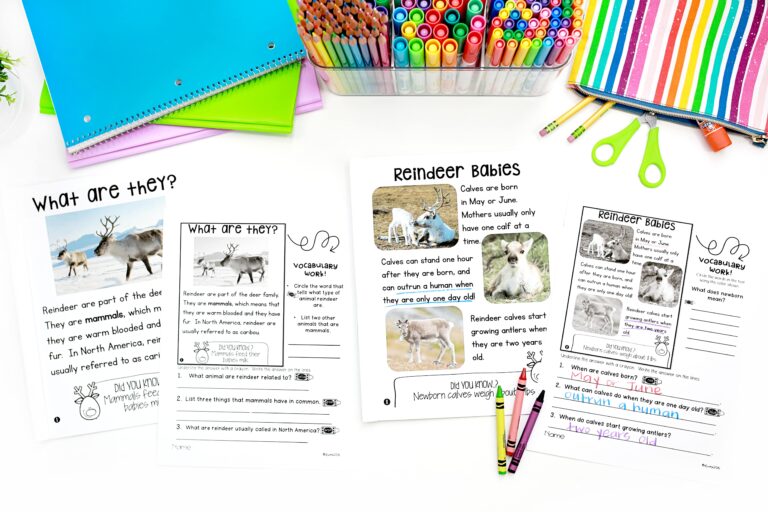 Reindeer Activities for Kindergarten