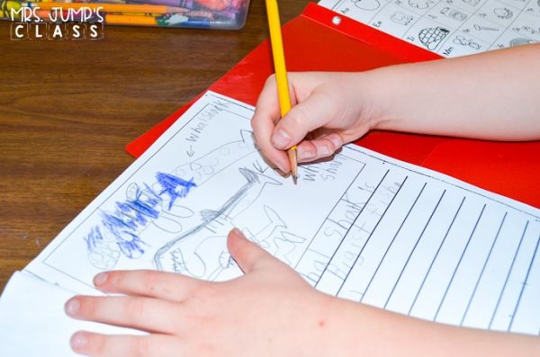 Writing Lesson Plans for Kindergarten & First Grade