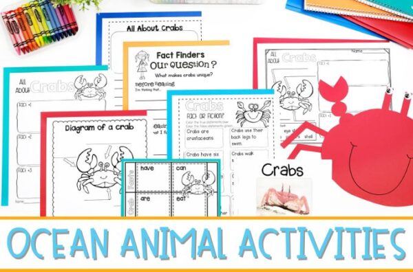 Ocean Animal Activities for Kindergarten - Mrs. Jump's Class